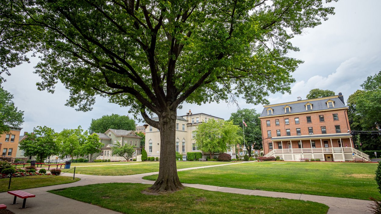 Bloomfield Summer Programs – Bloomfield College