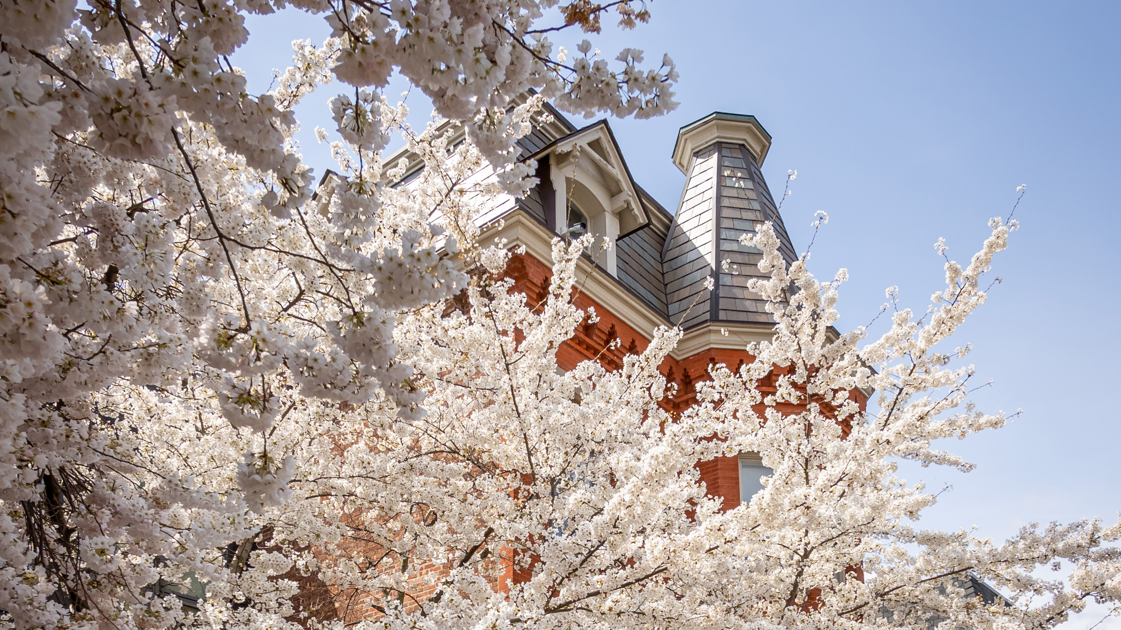 Bloomfield College